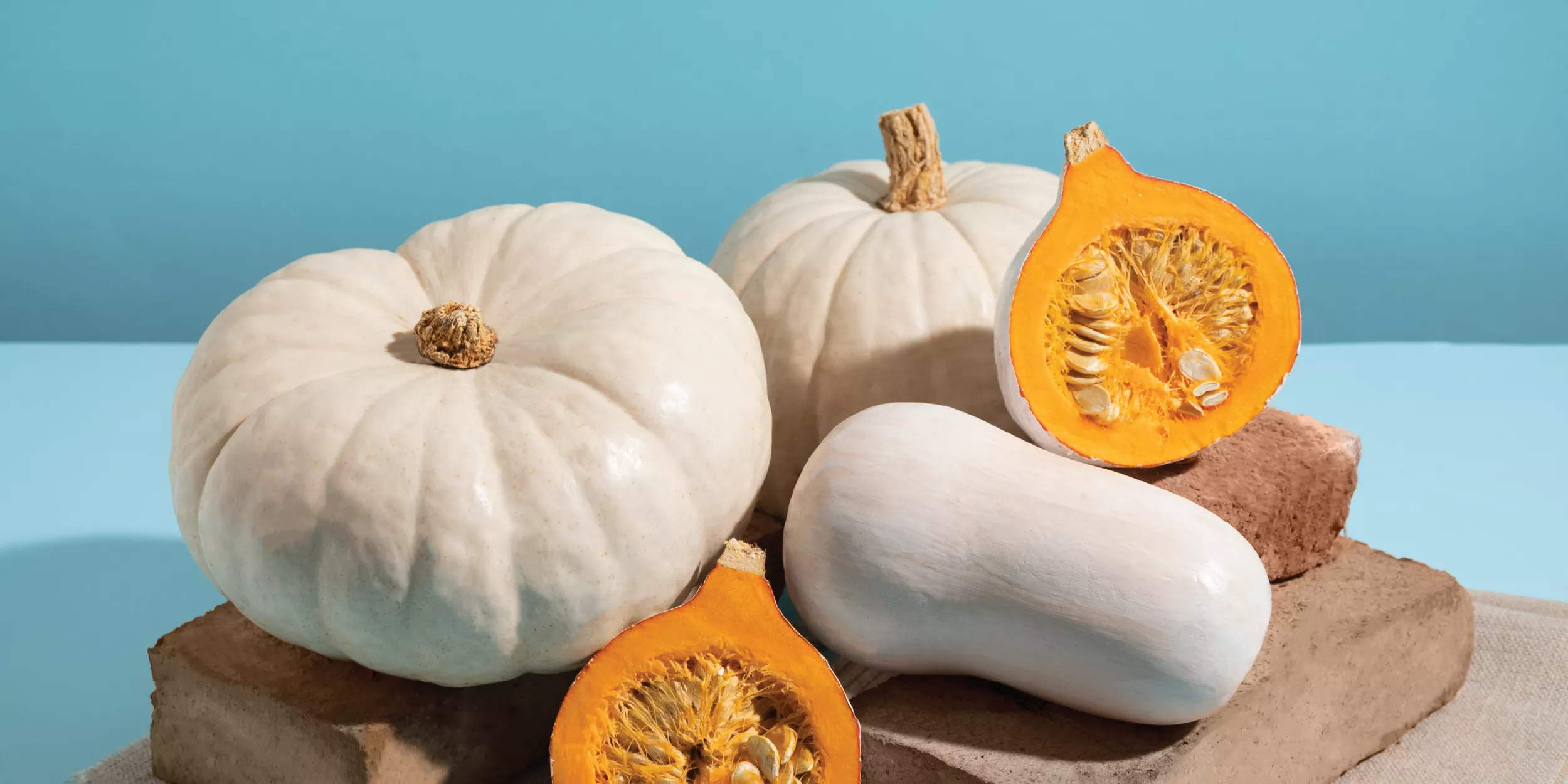 ฟักทองน่ากลัวหรือน่ากิน บรึ๋ย | MORRU